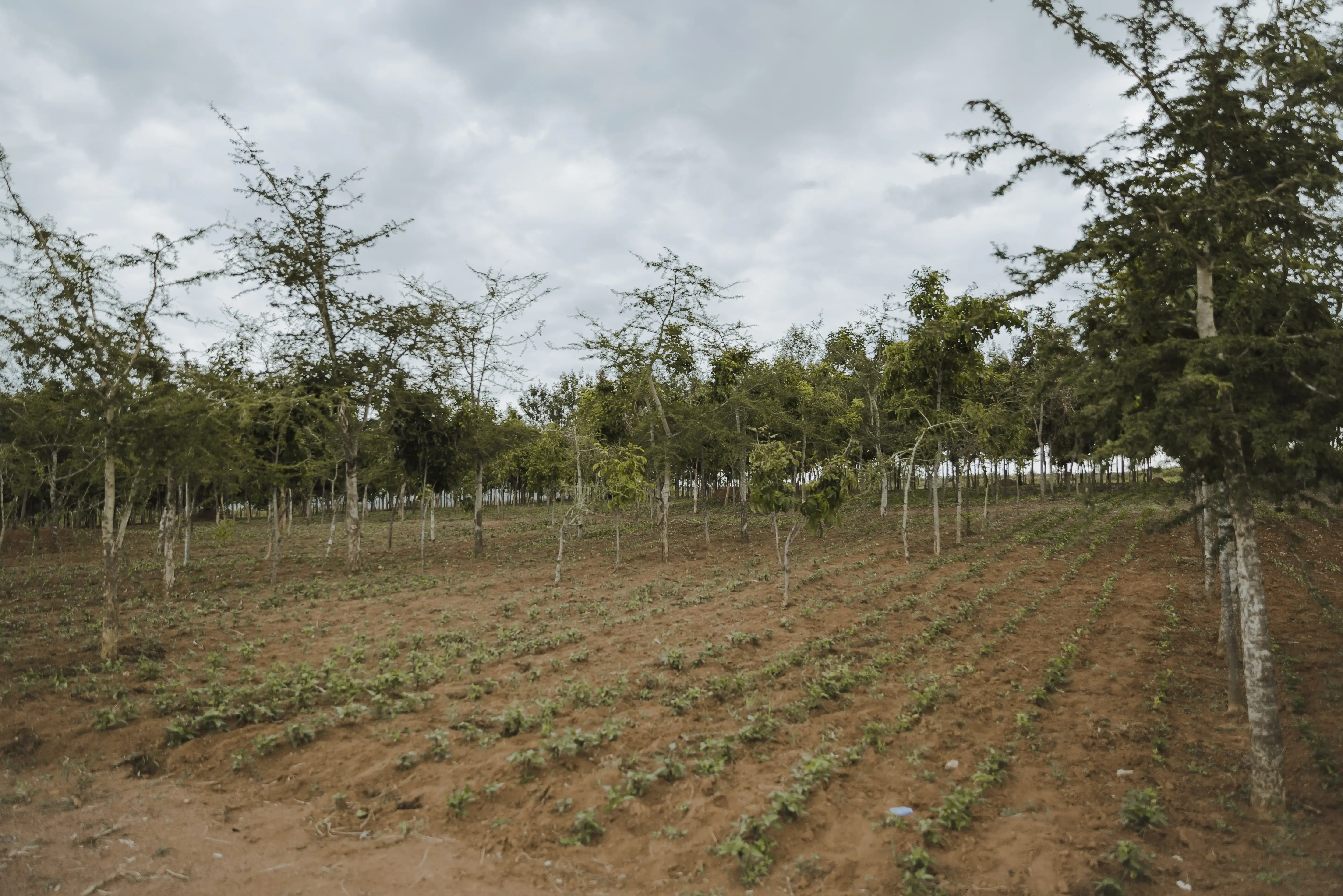 News / Events | AFR100